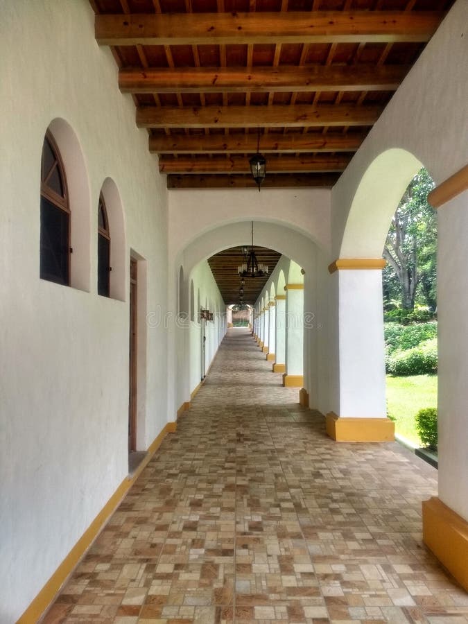 Hall Way with Grass Spot with a Tree Stock Image - Image of europe ...