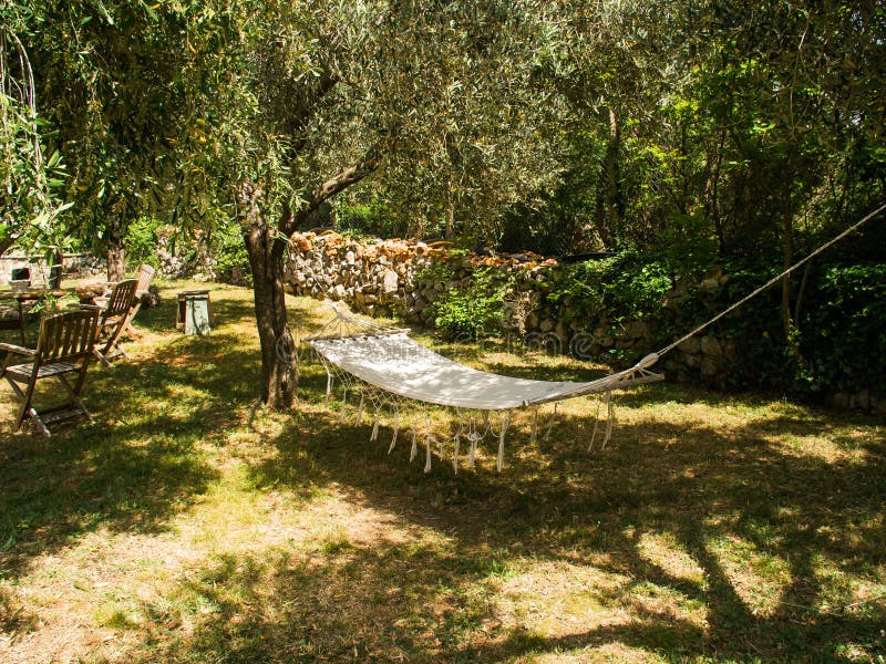 White Hammock Hanging Under Tree in Countryside - Cottagecore and ...