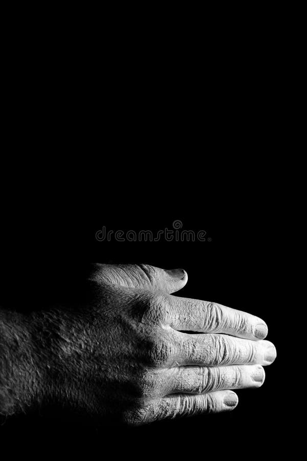 White hands stock illustration. Illustration of female - 6353631