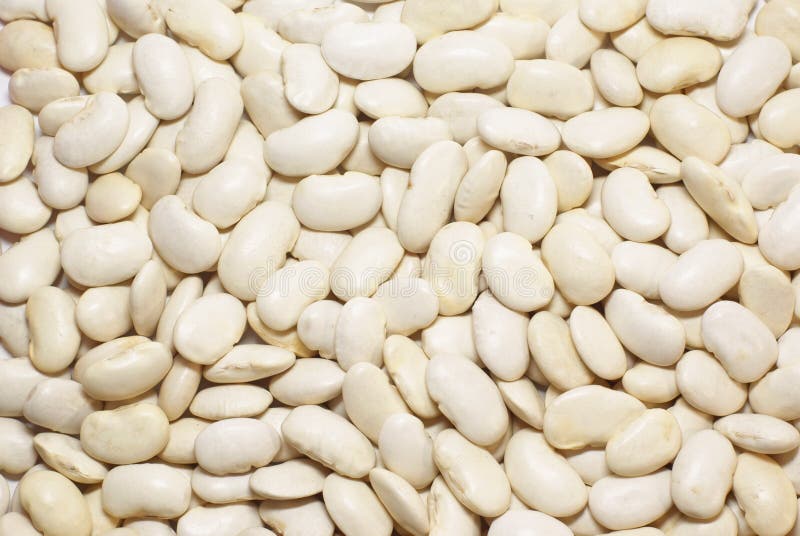 White Haricot beans stock image. Image of organic, abstract - 11926481