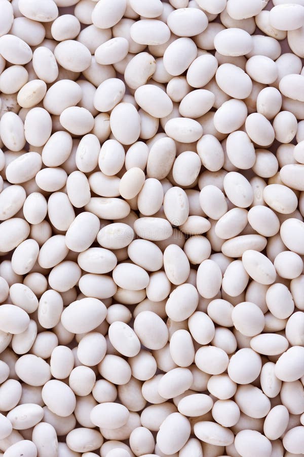 White Haricot beans stock image. Image of organic, abstract - 11926481
