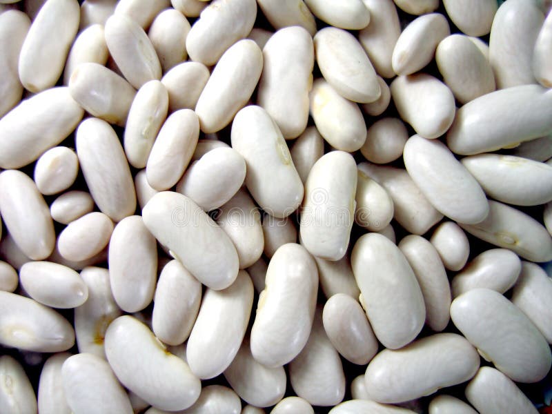 White haricot beans stock image. Image of product, french - 3065163