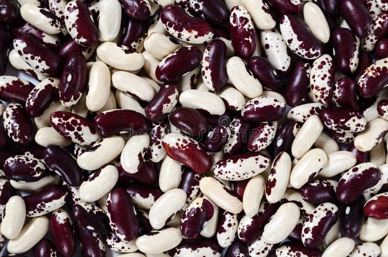 White Haricot Beans Isolated Stock Photo - Image of grain, haricot ...