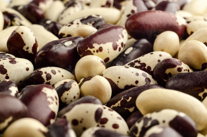 222 Cannellini Beans Haricot Isolated Stock Photos - Free & Royalty ...