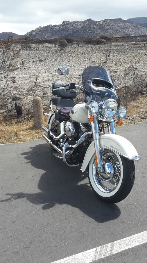 White Harley editorial stock image. Image of mudguards - 51112204