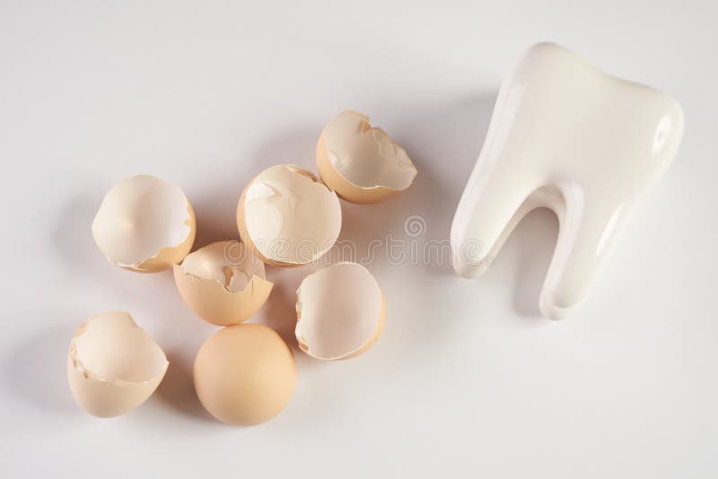 White Healthy Human Tooth Model and Chicken Eggs Stock Photo - Image of ...