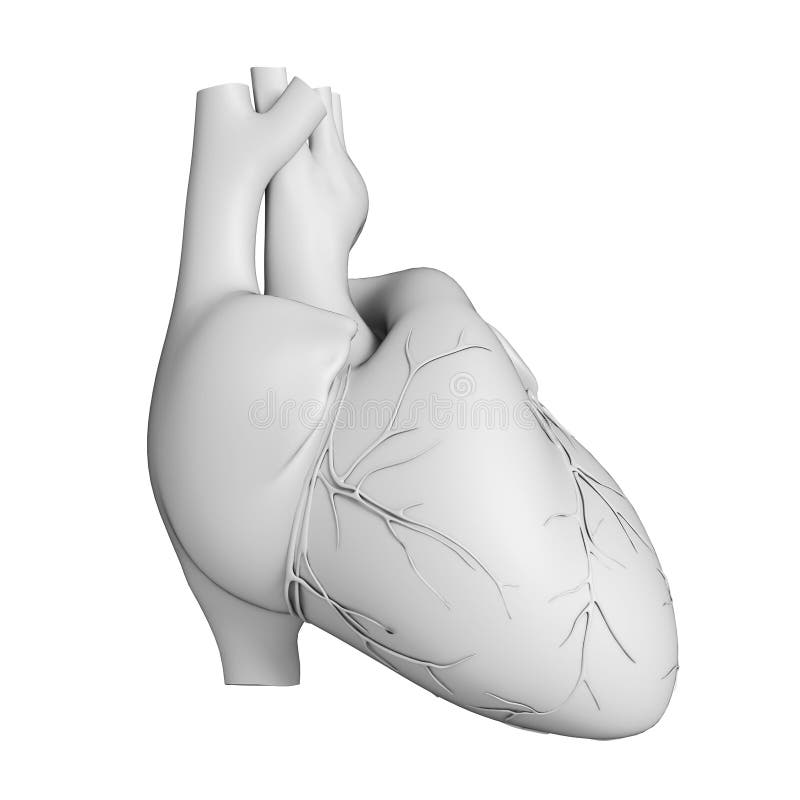 White heart stock illustration. Illustration of heart - 30722700