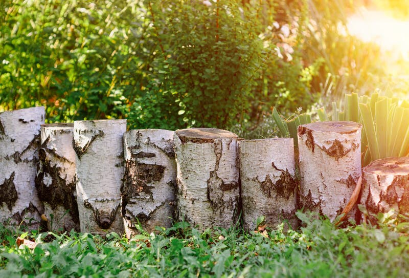 White Hemp in Spring Forest Stock Image - Image of branch, collection ...