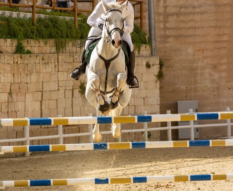 White Horse Jumping the Obstacle Durign a Five Star Competition ...