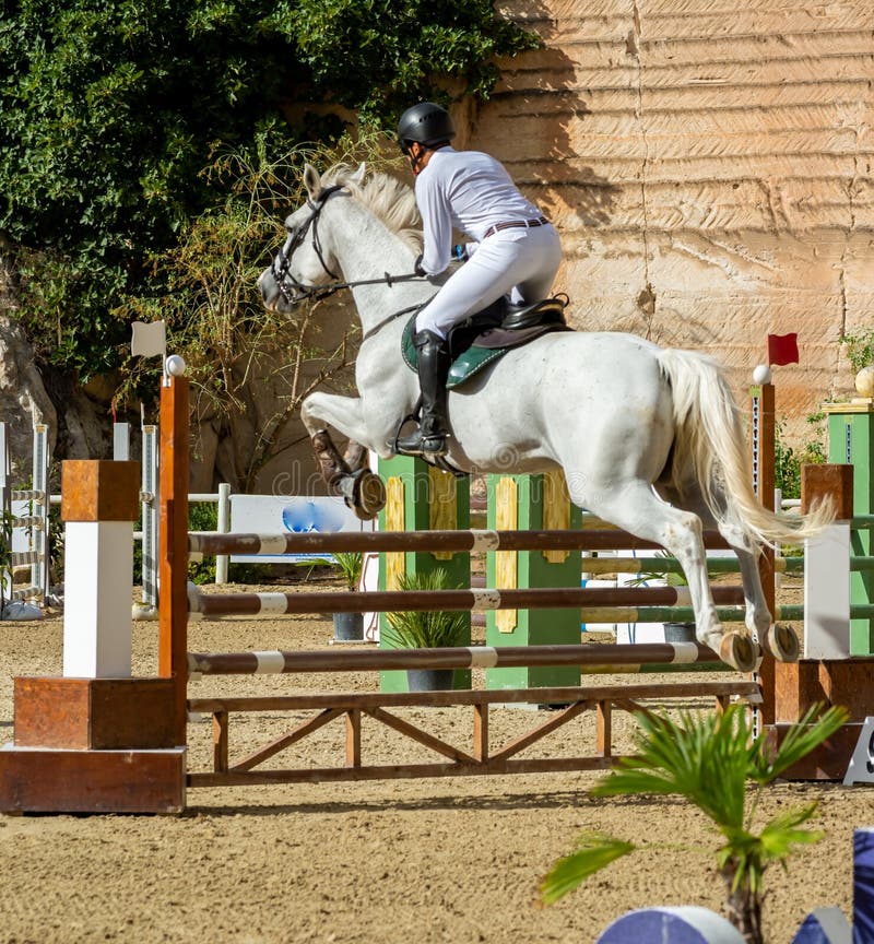 White Horse Jumping the Obstacle Durign a Five Star Competition ...