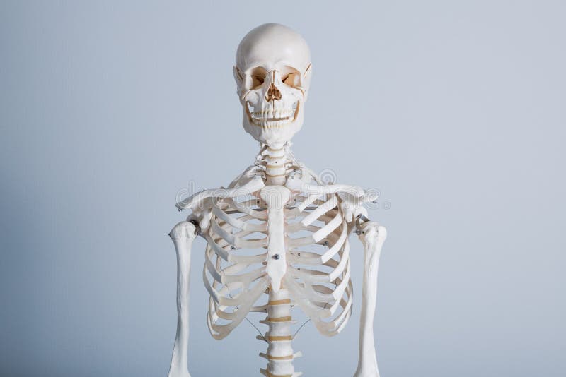 27,169 Body Frame Stock Photos - Free & Royalty-Free Stock Photos from ...