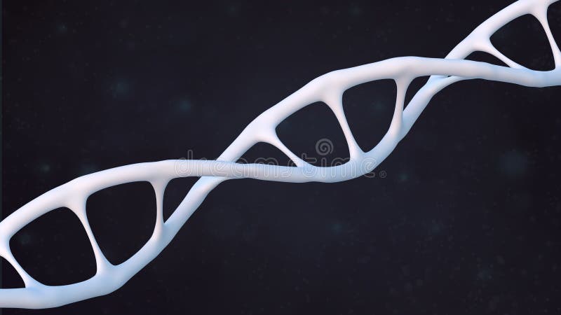 White Human Dna Structure Helix, Deoxyribonucleic Acid, Nucleic Acid ...