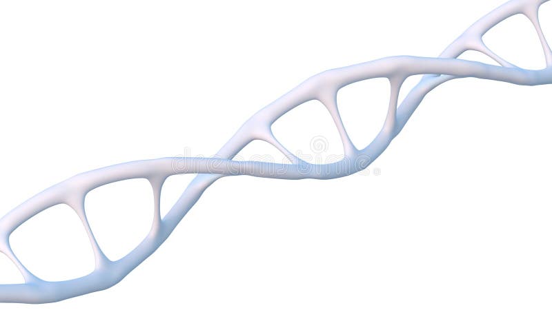 White Human Dna Structure Helix, Deoxyribonucleic Acid, Nucleic Acid ...