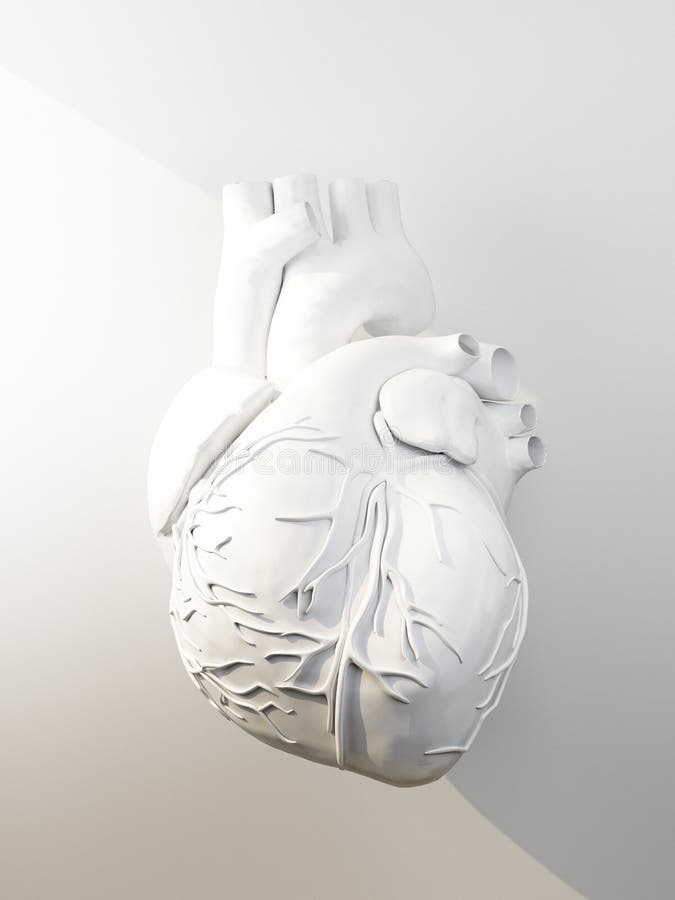White Human Heart with Ray of Light Stock Illustration - Illustration ...