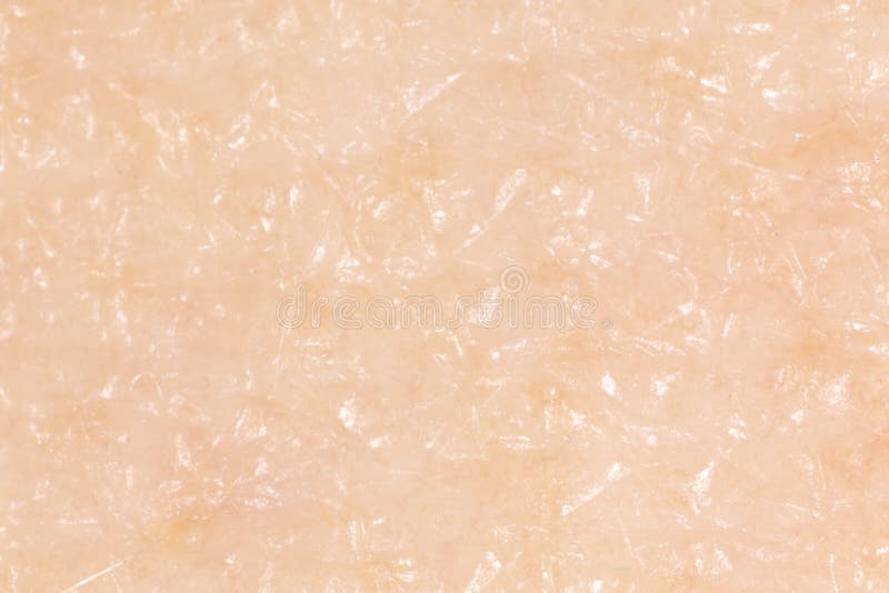 White Human Skin Texture