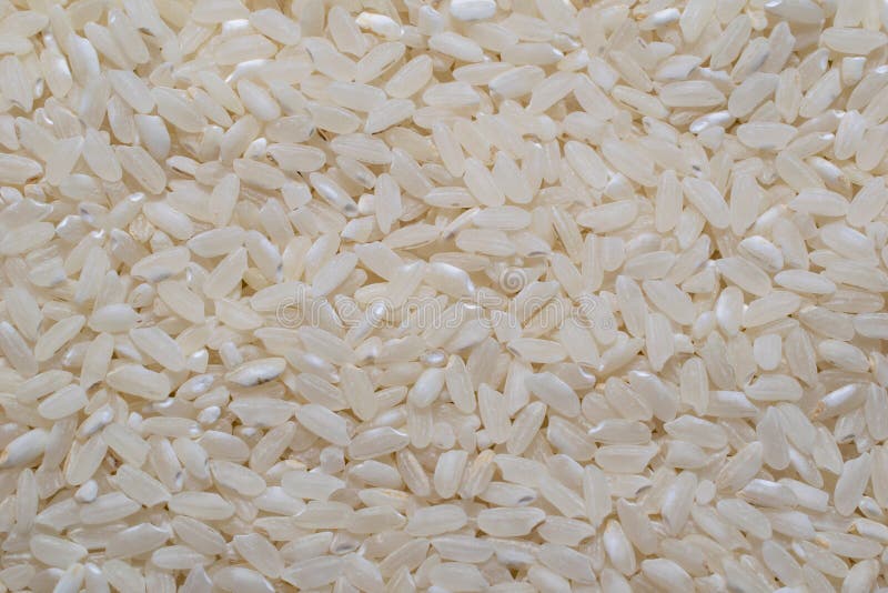 White Husked Rice, Macro Photo, Texture Stock Photo - Image of fresh ...