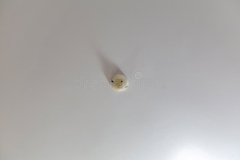 Smoke Detector and Catcher on White Ceiling Stock Photo - Image of ...