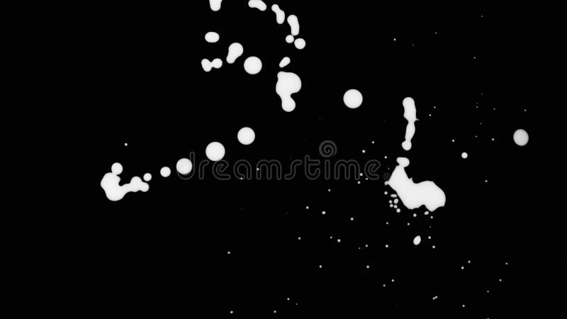 White Ink Splatter Over Black Screen Background Stock Footage - Video ...