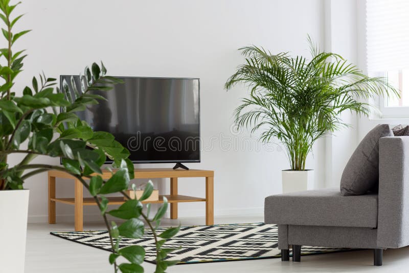 Positive energy room stock image. Image of colorful, room - 81699601