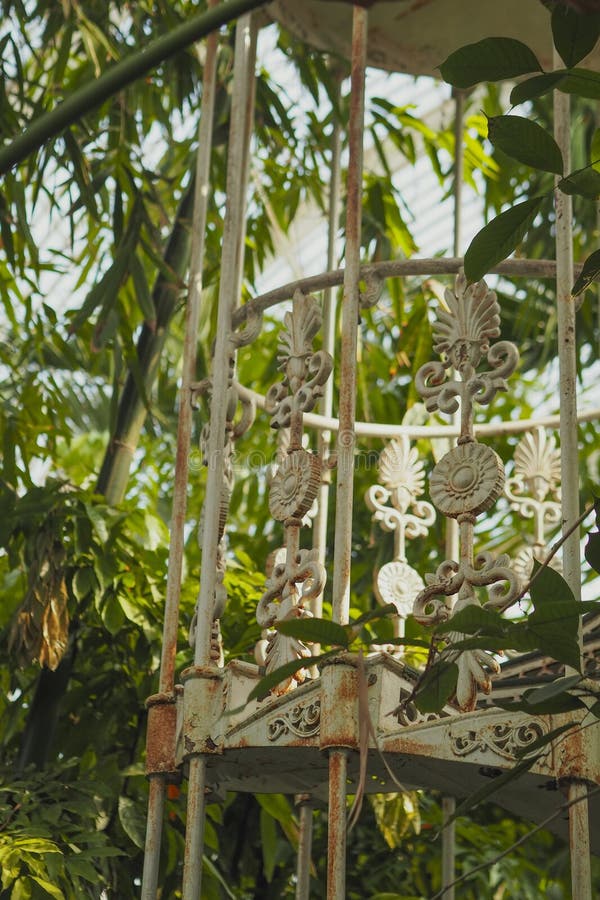White Iron Railing Next To Some Trees in Daylight, with Ornate Design ...