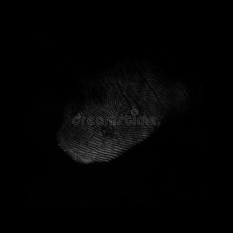 White Isolated Thumb Fingerprints Sign Icon Digital Security ...
