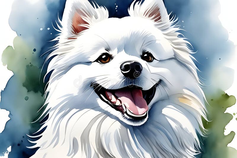 White Japanese Spitz Dog on Isolated Stock Illustration - Illustration ...
