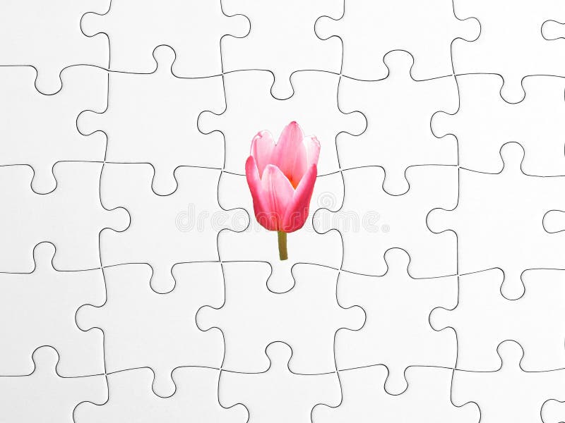 White Jigsaw Puzzle with Tulip Flower at the Center Stock Photo - Image ...