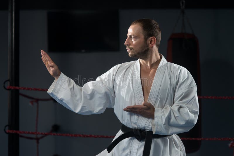 White Karate Fighter stock image. Image of extreme, power - 63139931