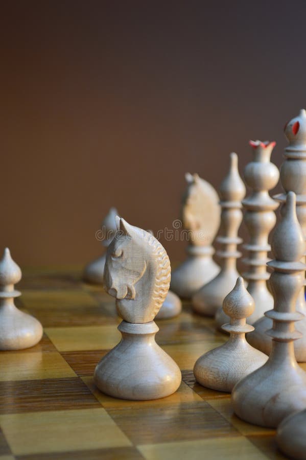 White Knight, Chess Pieces on a Chessboard Stock Photo - Image of ...