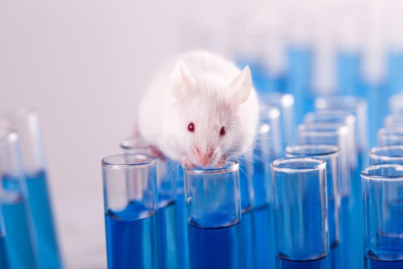 417 Animal Testing Laboratory Background Stock Photos - Free & Royalty ...