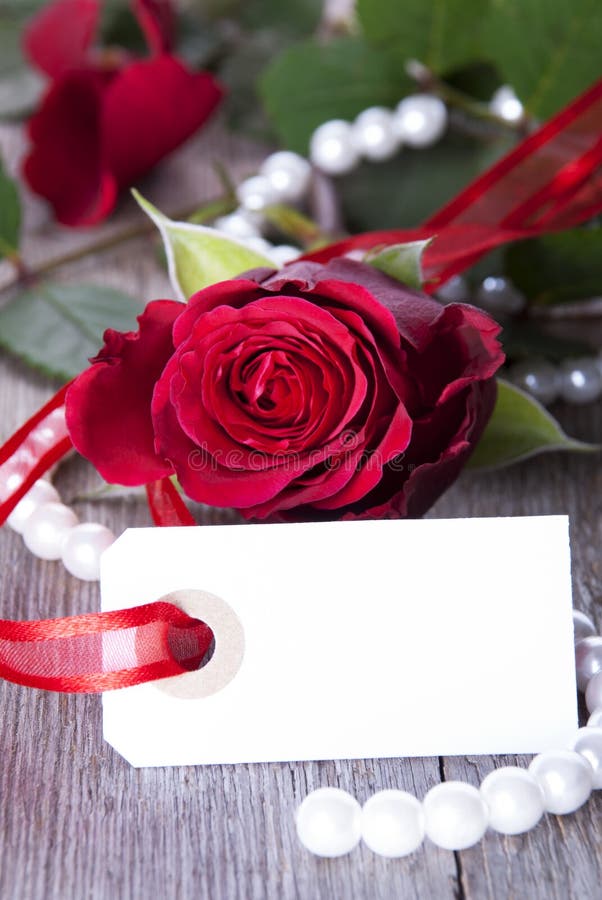 White Label with Red Rose stock photo. Image of marriage - 36698014