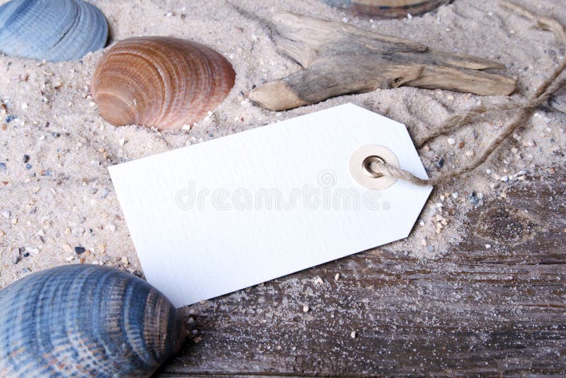 Beach stock photo. Image of label, shell, paper, vacation - 30183598