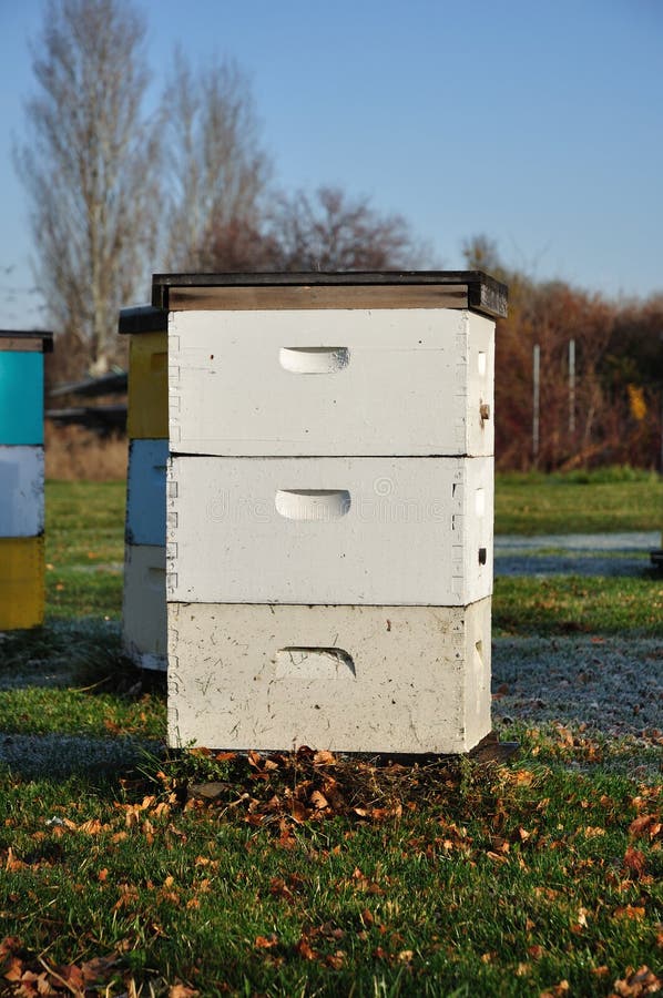 White Langstroth Bee Hive stock image. Image of apiary - 11845031