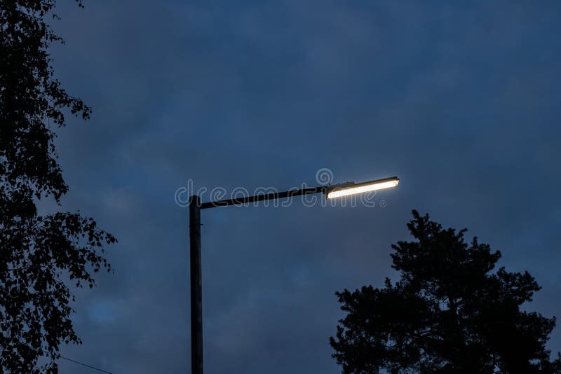 White Lantern among the Shadows of Trees Stock Photo - Image of clouds ...