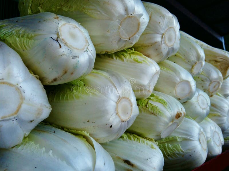 White Leafy Vegetables that Taste Bitter Stock Image - Image of leafy, white: 366224673