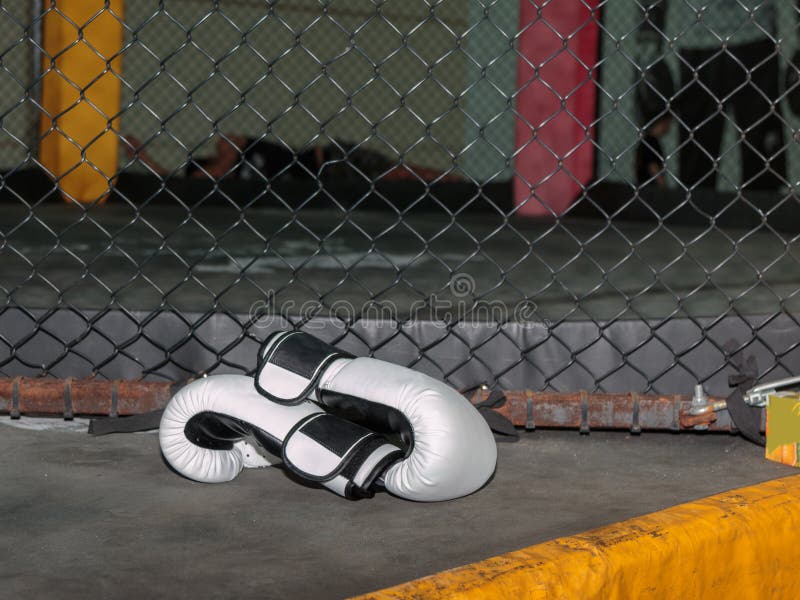 White Leather Boxing Gloves on Floor Inside MMA Cage Stock Photo ...