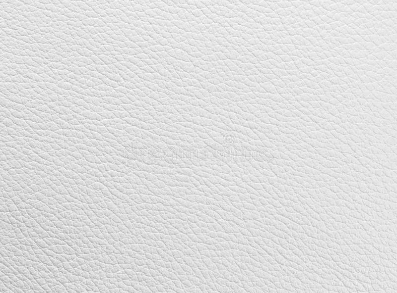 White leather stock photo. Image of genuine, layer, empty - 14656056