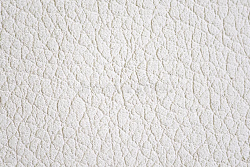 White Textured WC Paper with Floral Ornament. Stock Photo - Image of ...