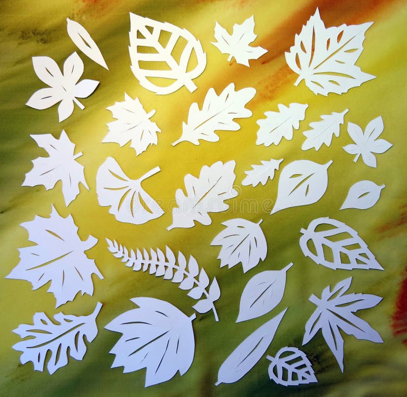 White Leaves Anf Flowers. Paper Cutting. Stock Image - Image of cutting ...