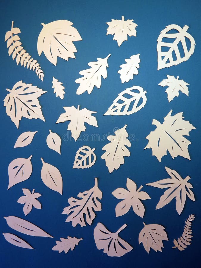 White Leaves Pattern. Paper Cutting. Stock Image - Image of crafts ...