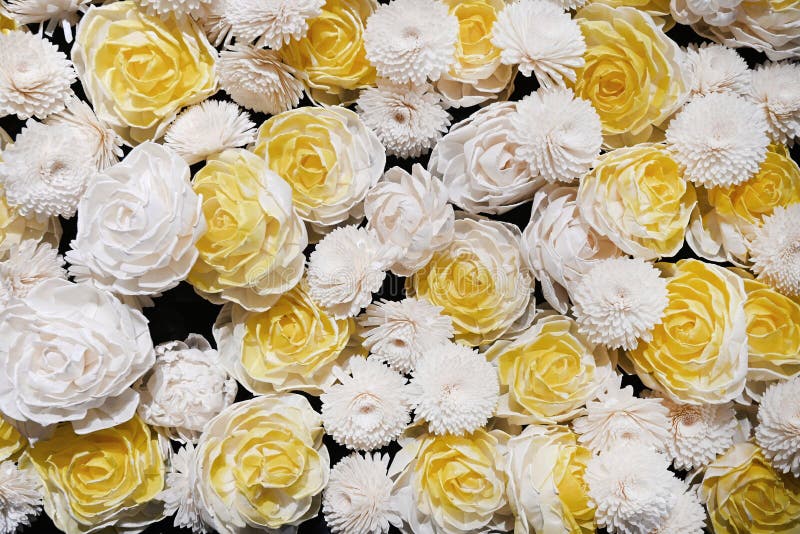 White and Light Yellow Open Roses in Patterns. Stock Image - Image of ...