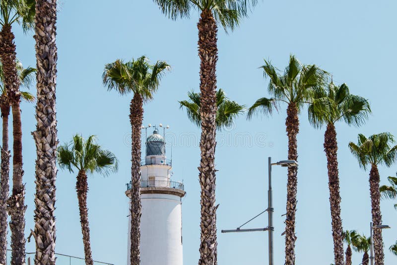 White Lighthouse Behind Palm Trees At Daytime Picture. Image: 116927694