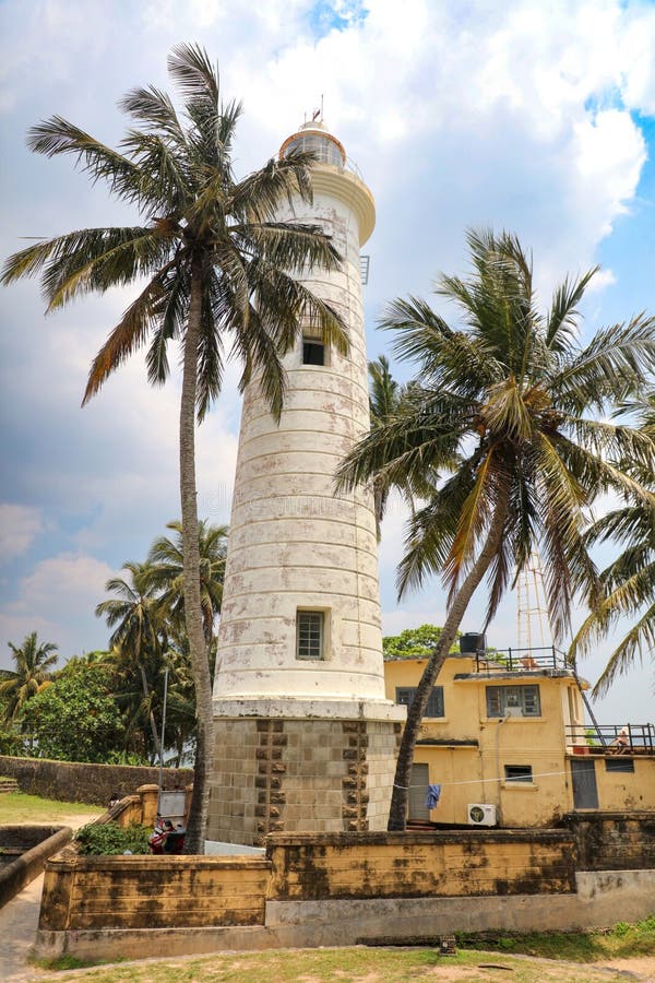 A White Lighthouse is Surrounded by Palm Trees Stock Image - Image of ...