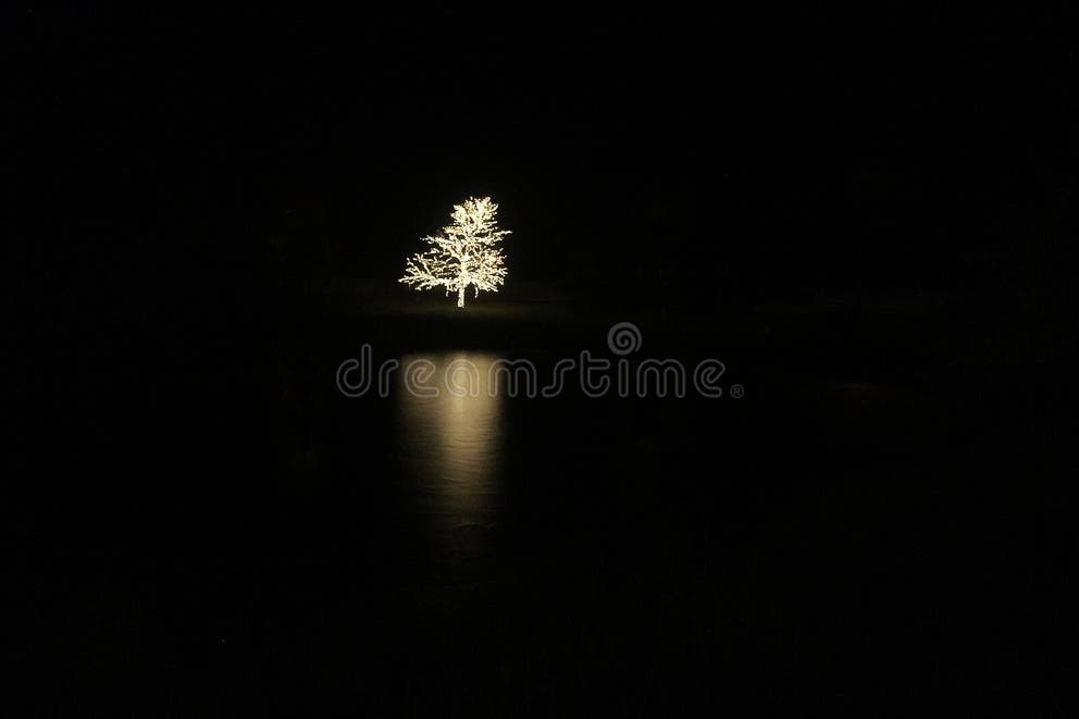 White Lights on a Tree with Reflection on Ice Stock Image - Image of ...