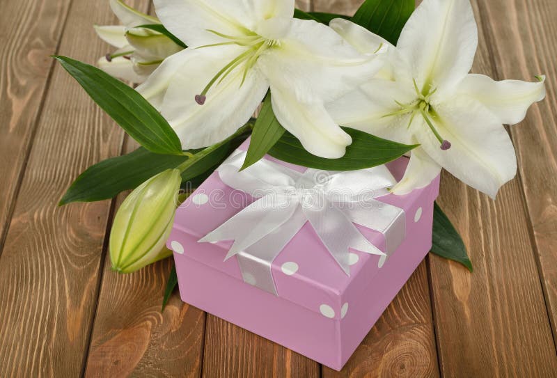 1,854 Lily Box Stock Photos - Free & Royalty-Free Stock Photos from ...