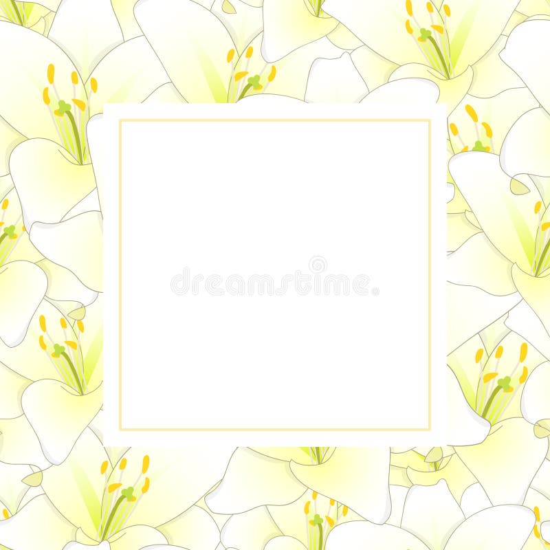 White Lily Flower Banner Card Border. Vector Illustration Stock Vector ...