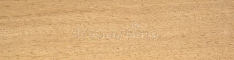 White Limba Wood Texture Surface with Fine Grains Stock Photo - Image ...