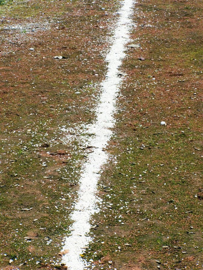 On-line Picture. Image: 809586