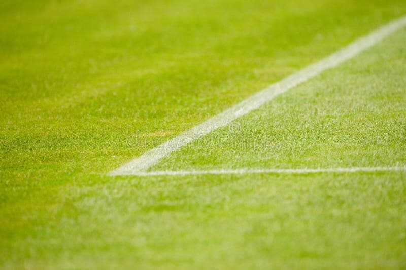 White line stock photo. Image of league, care, championship - 17238674