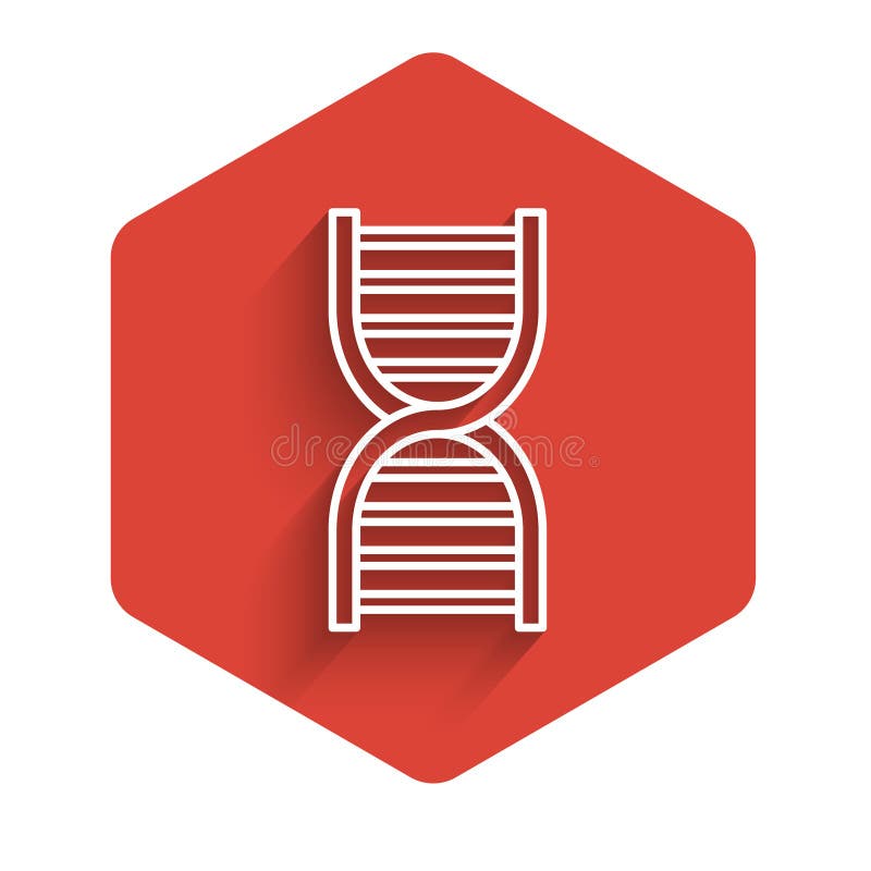 White Line DNA Symbol Icon Isolated with Long Shadow. Red Hexagon ...